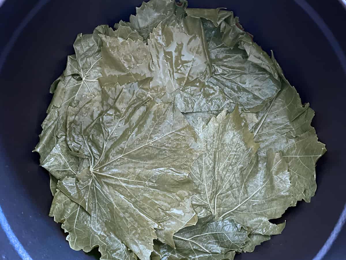 Dolmadakia - Stuffed Grape Leaves - The Greek Foodie