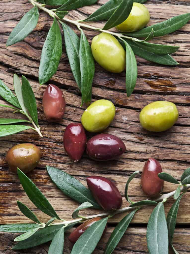 Greek Marinated Olives with Feta, Lemon & Garlic - The Greek Foodie