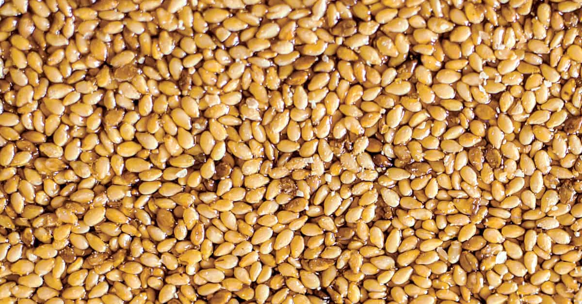 Pasteli-Greek Sesame Candy - The Greek Foodie